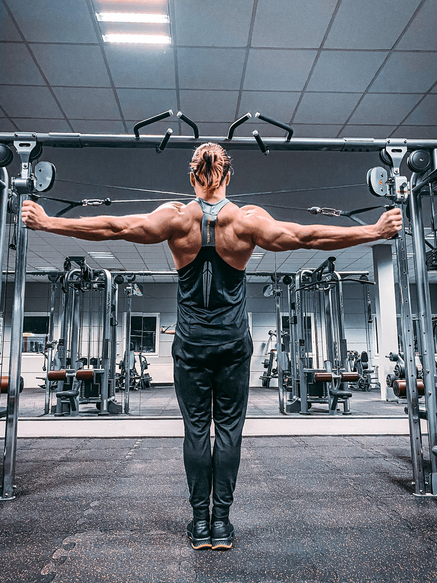 Reverse Flys (Butterfly) – Gym Aesthetics